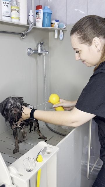 Анастасия Пухт поделится секретами использования шампуня для собака