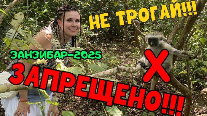 Занзибар-2025. Красные пожиратели парка Джозани. Стоит ли их бояться? Прощаемся с островом. #8