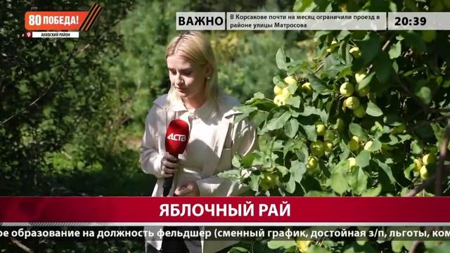 Сахалинский яблочный рай благодаря господдержке