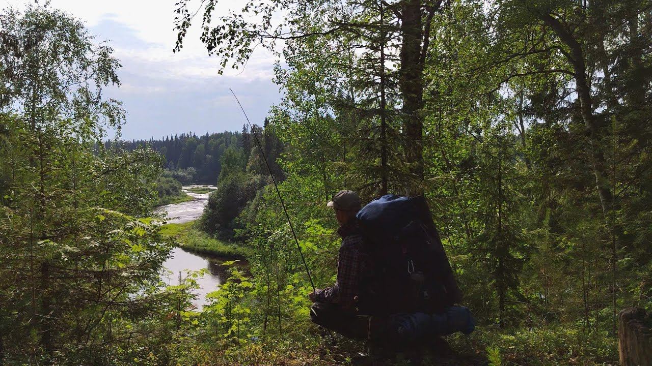 ОДИНОЧНЫЙ ПОХОД С НОЧЁВКОЙ В ГЛУШИ. Окунь на каждый заброс. Чем отпугнуть зверя в лесу?