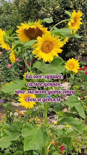 Самое лучшее и ценное наследство