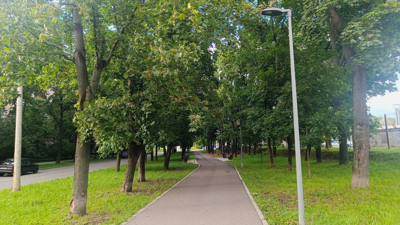 Про нашу собачку: Кто такая Элис и как она живёт