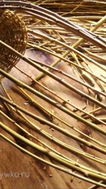 #Плетение #корзины из живой лозы