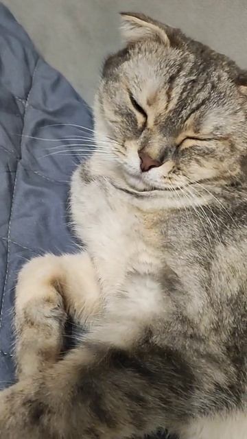 Мне уже этот мир абсолютно понятен......