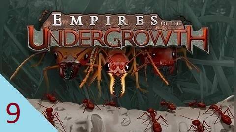 Empires of the Undergrowth 9