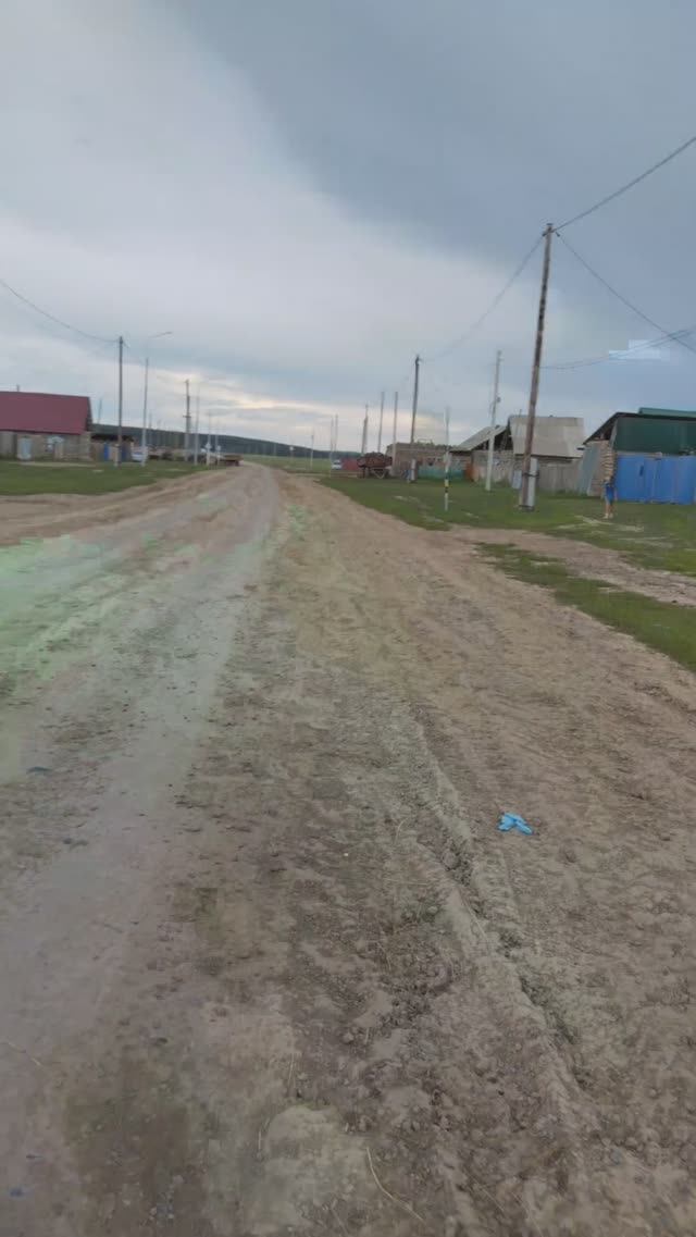 Восточная окраина с. Борогонцы, 2025 г.