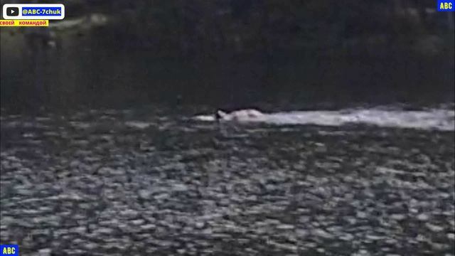 Обычное  ПЛАВАНИЕ под настроение 21.08.2025 #юныйпрадедбодрыйдед #будогощь #авсарх