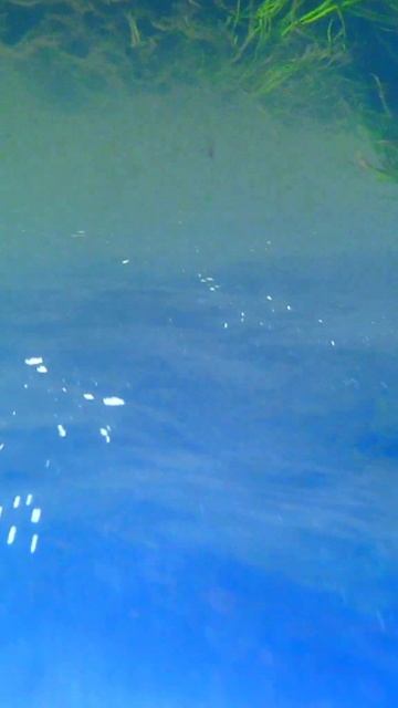 Игра со временем на уровне воды #лето #речка #поток