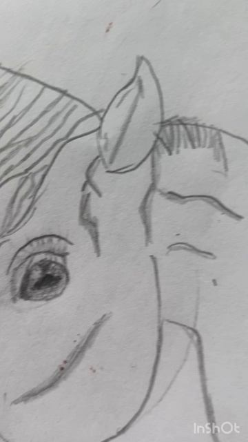 Мои рисунки лошадей 😙😍в альбоме 🥰