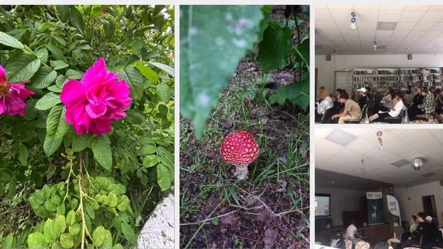 Экошкола Нижневартовск 2024