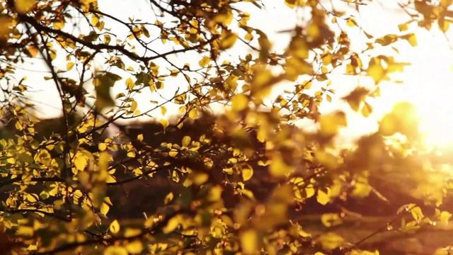 ОТСЛУЖИВ, УХОДИТ ЛЕТО - стихи Надежды Шубиной(Из цикла "Очарование осени")