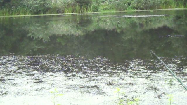 НА РЫБАЛКЕ С НОВЫМ ПОПЛАВКОМ