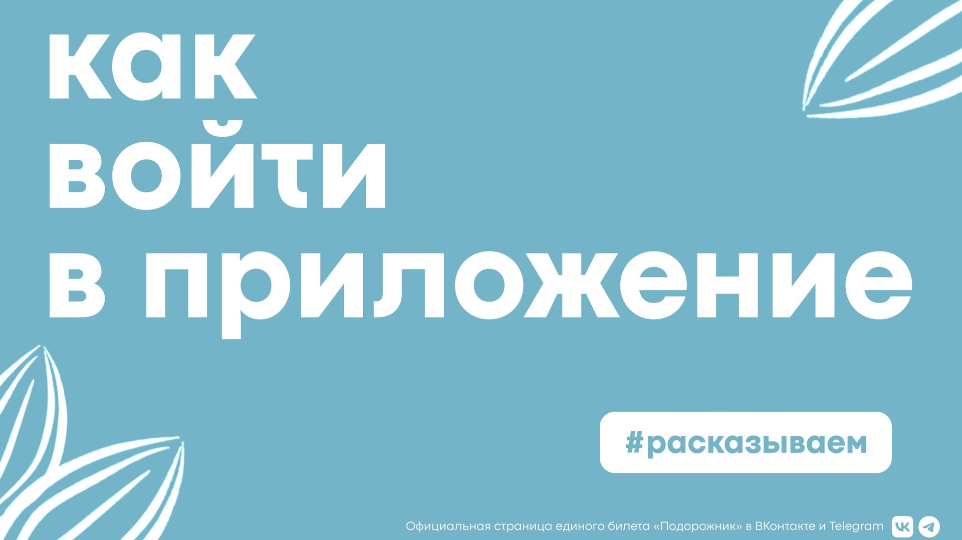 Как войти или зарегистрироваться в приложении «Виртуальный подорожник»