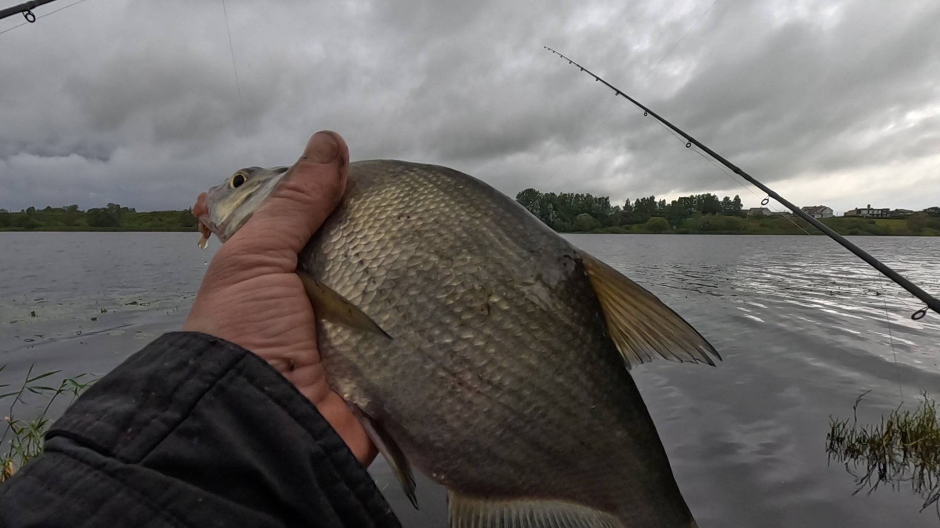 ЛЕЩ-ПОДЛЕЩ НА ФИДЕР. ЗАКРЫТИЕ ФИДЕРНОЙ РЫБАЛКИ.