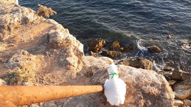 Наблюдение гуся за купающимися в море| успокаивающие видео 3 минуты 14 секунд