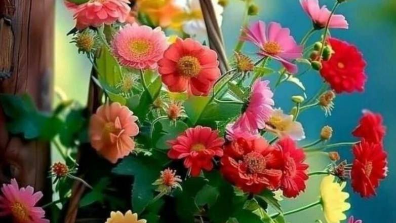 Красивые пожелания доброго и прекрасного дня 🌞  Музыкальная открытка