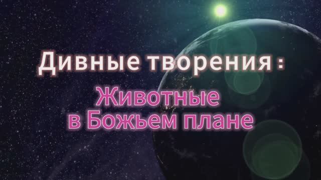 Дивные творения : животные в Божьем плане