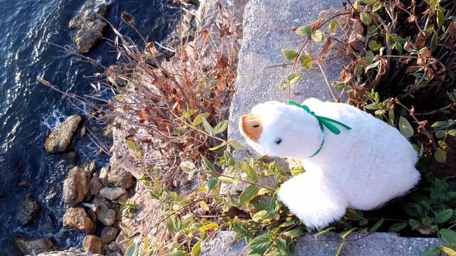 шум моря и гусик