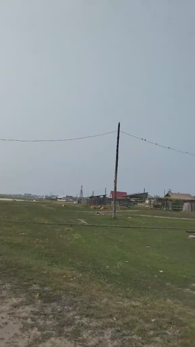 Оздоровительная ходьба. Борогонцы, 11.08.2024 г.