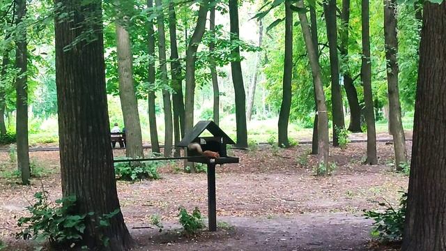 Что это вы тут положили?