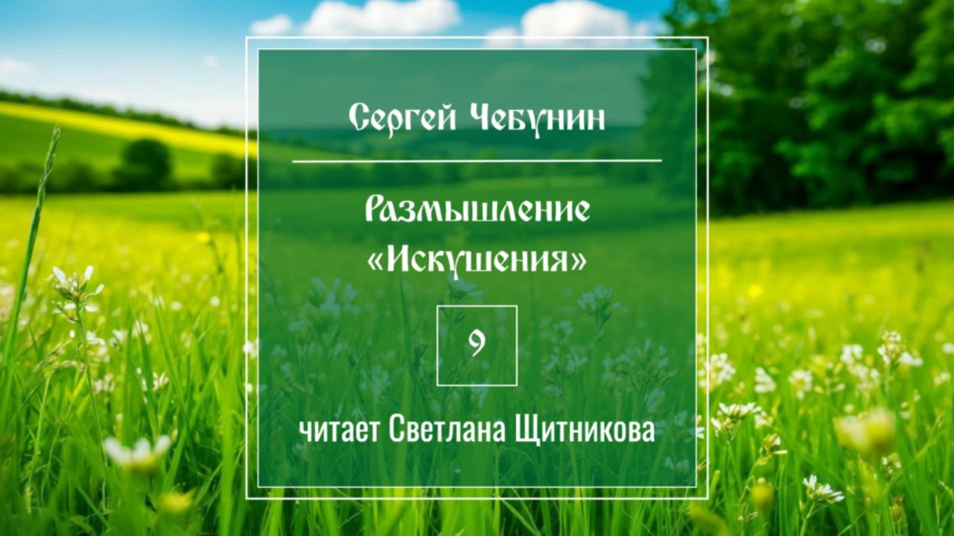 Размышление 9 (автор Сергей Чебунин, читает Светлана Щитникова)