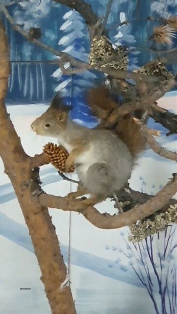 Посмотрите какие зверюшки есть в нашем музее.