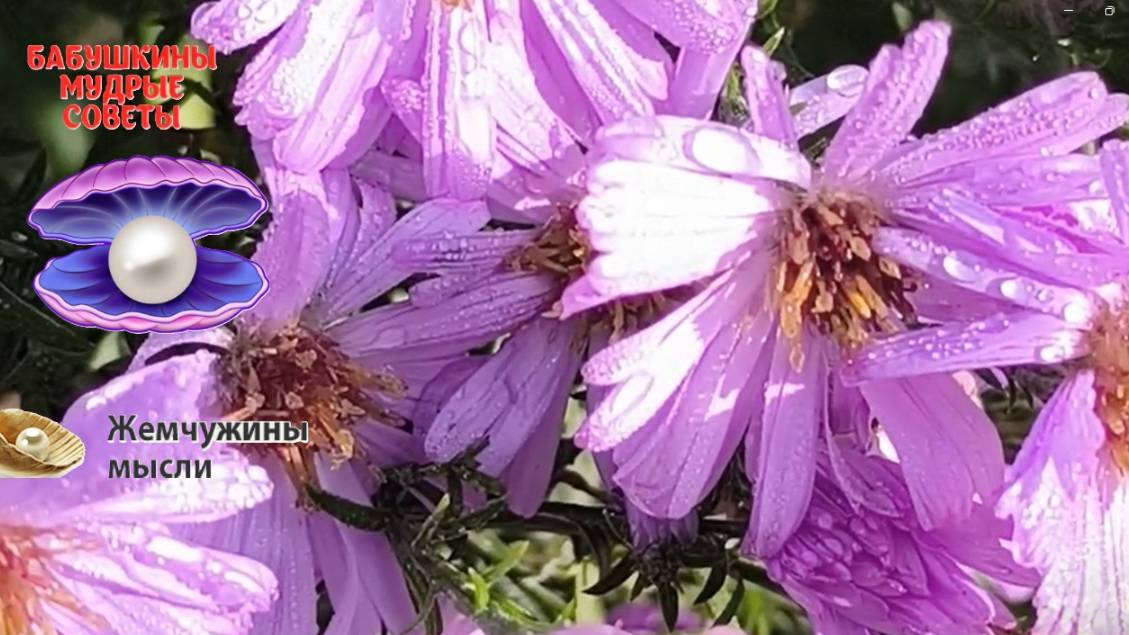 Бабушкины советы-рекомендации и приметы, передающиеся из поколения в поколение. Мудрость через века