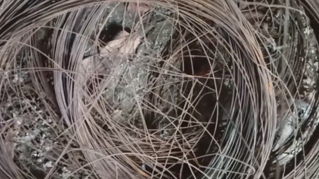 Секрет крепкого забора: Что такое цепевязальная проволока и как ее используют