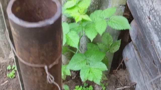 Цепевязальная Проволока в деревне, ее практическое применение.