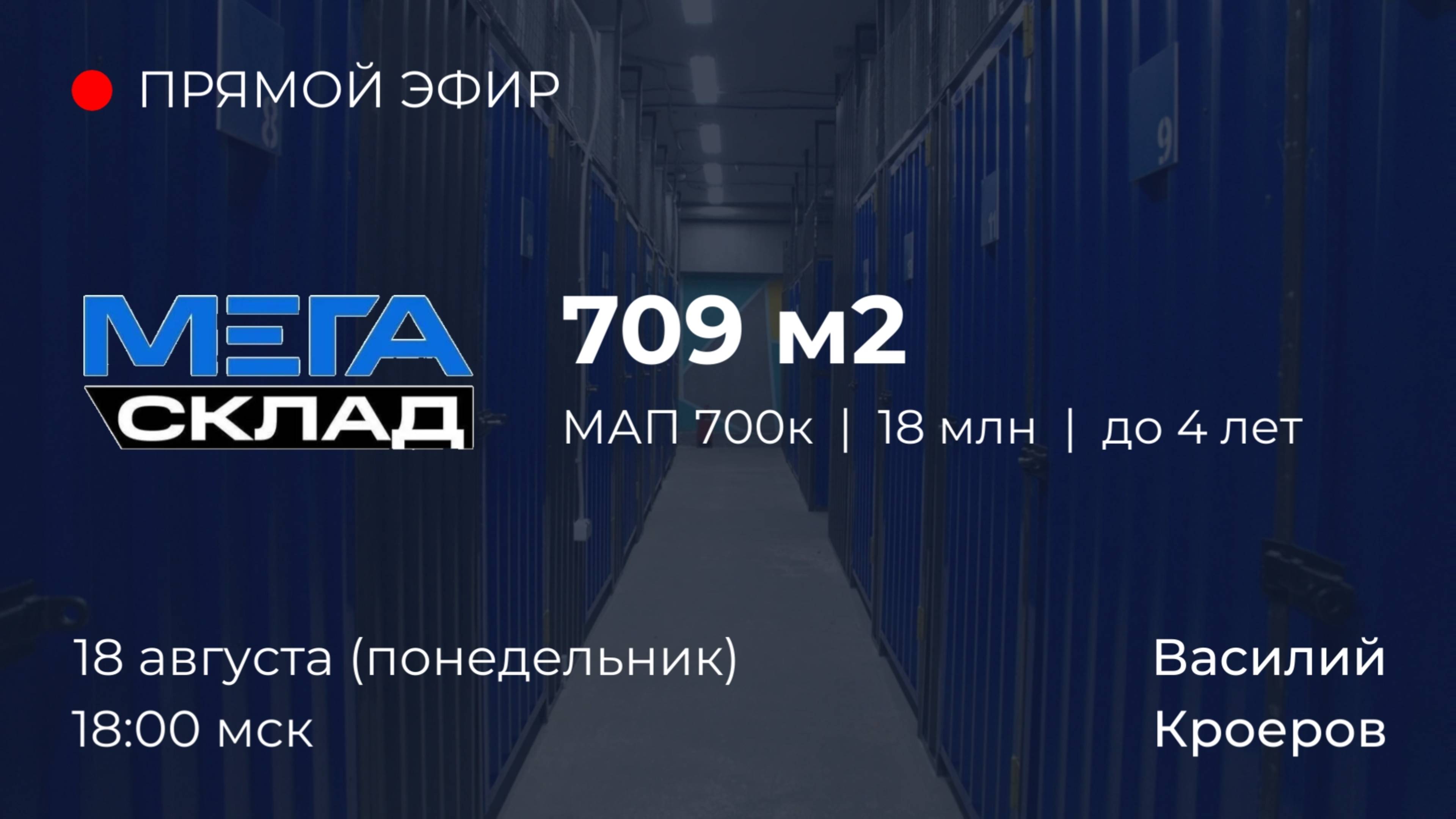 ГАБ "Мегасклад" 709 м2. Self-storage склад с доходностью от 25% годовых.