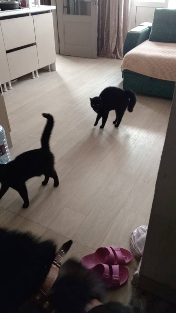 Брошенки-эпизод5