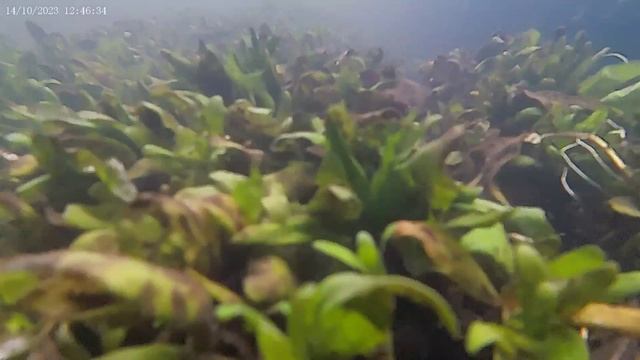 Случайно.
Увиденное.
Нечто.