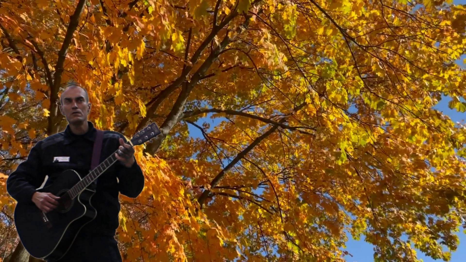 Дмитрий Довженко - Осень (заявка на Калину Красную 2025)