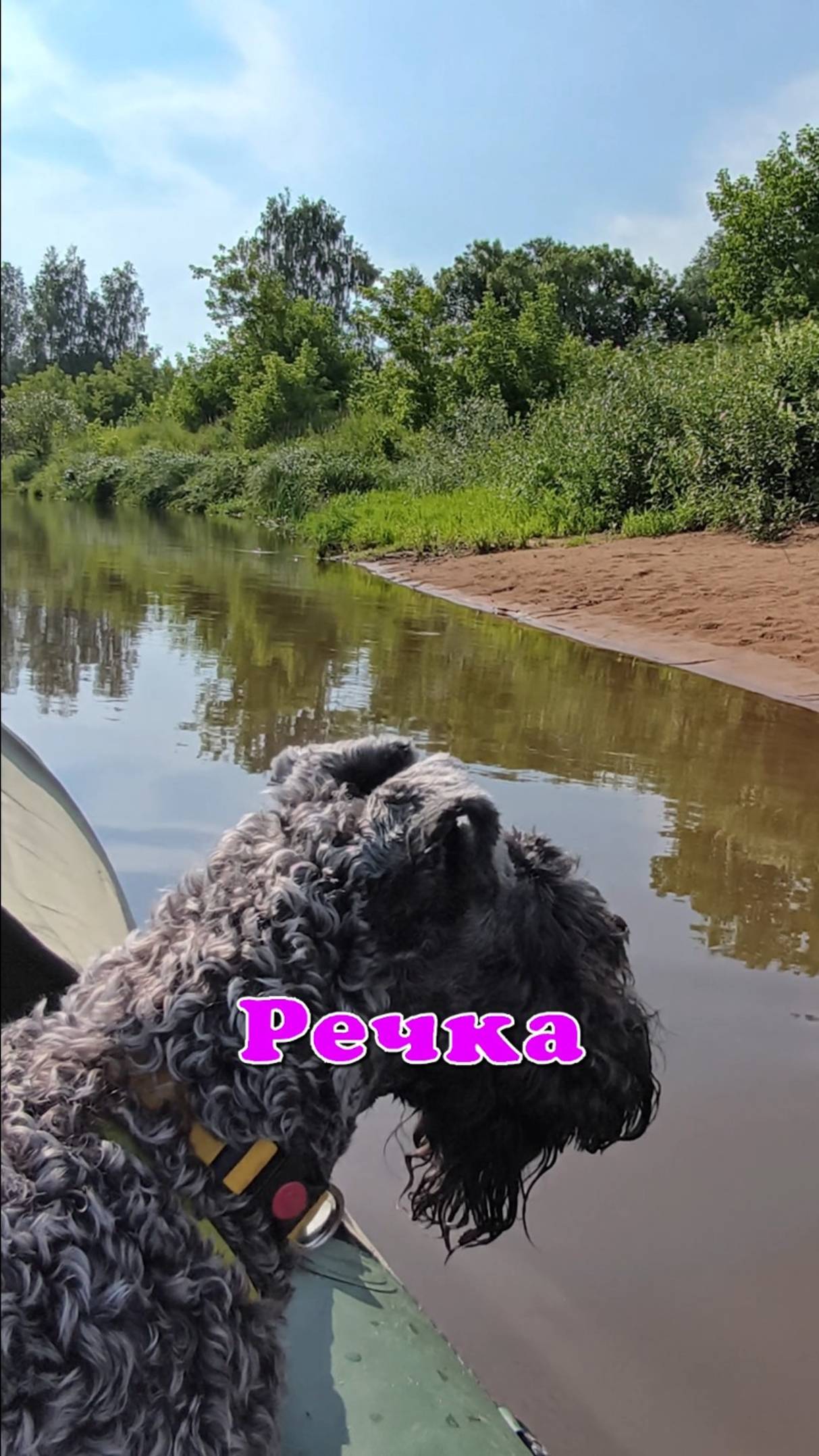 Анонс фильма. р Киржач 2025