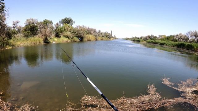 МИКРОДЖИГ в жару Капризный окунь  ОБЗОР на спиннинг НАВАХО Микро Джиг (Олта), 2.10м, 0.6-4г