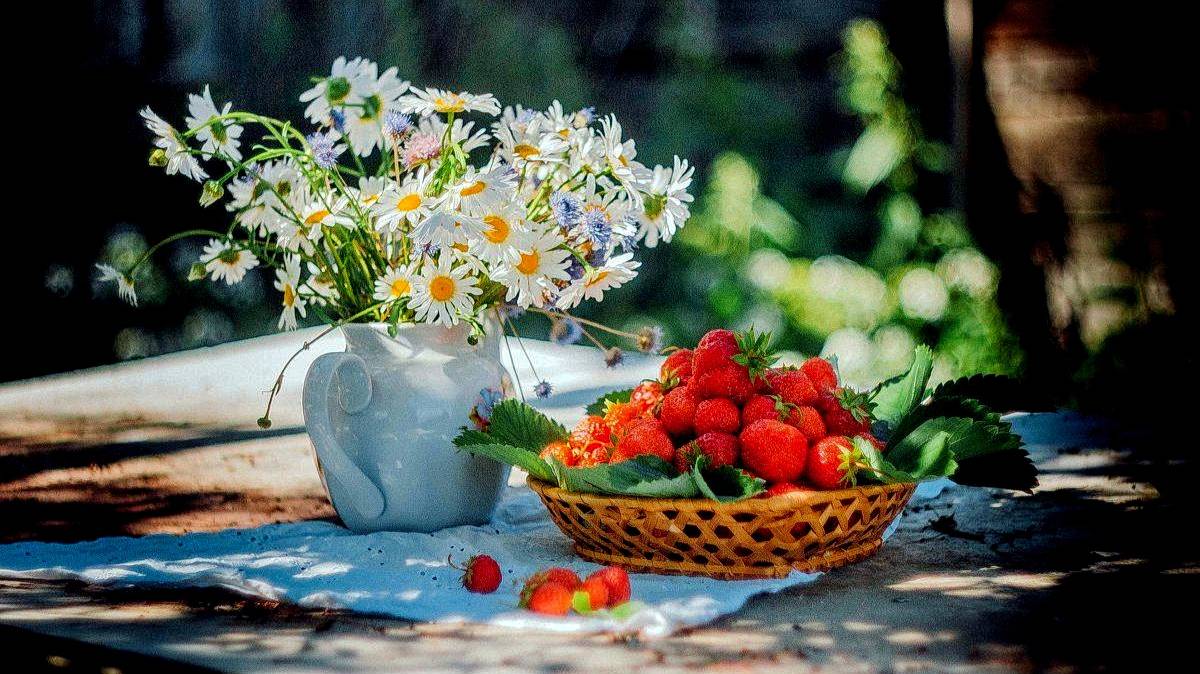 Воскресный день