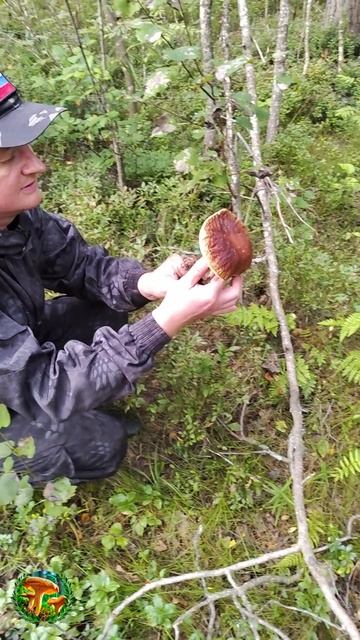 Довольный грибник!