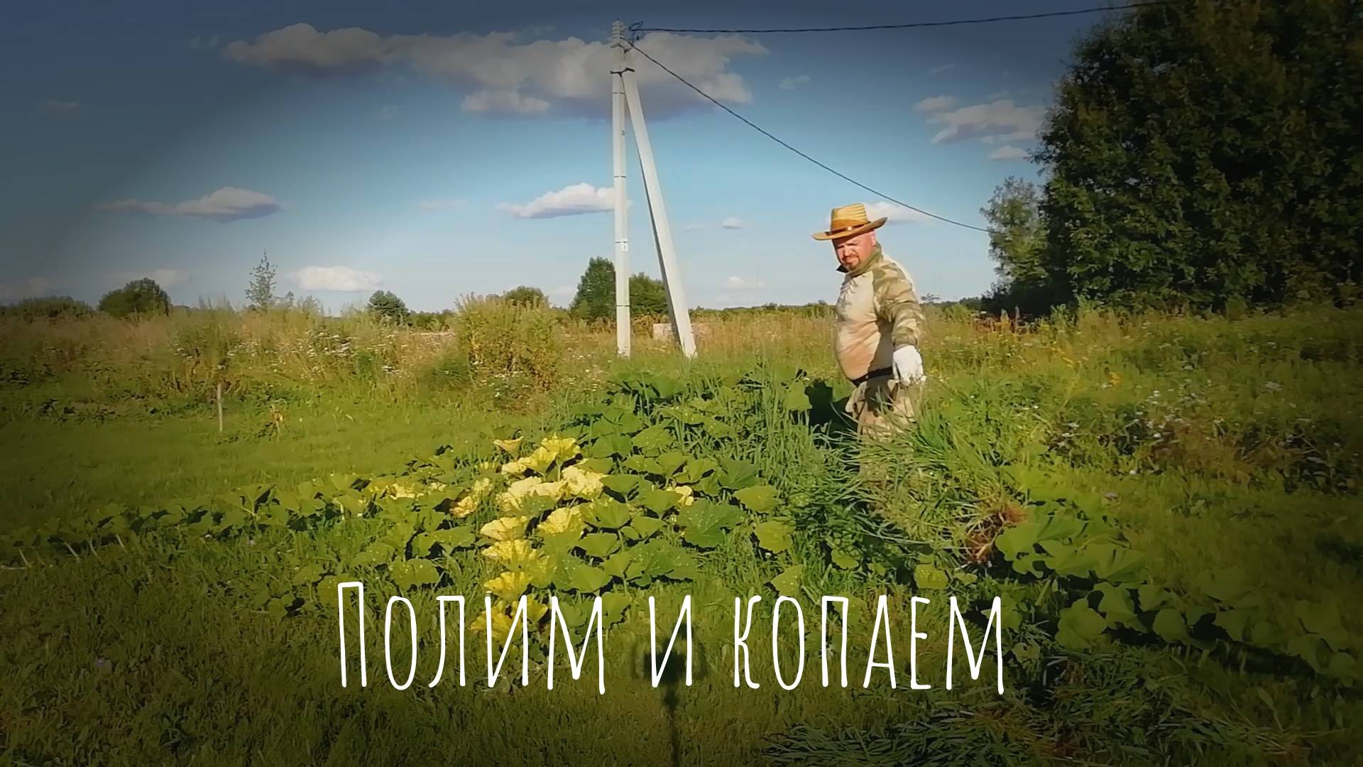 03.08.2025 Полим и копаем.