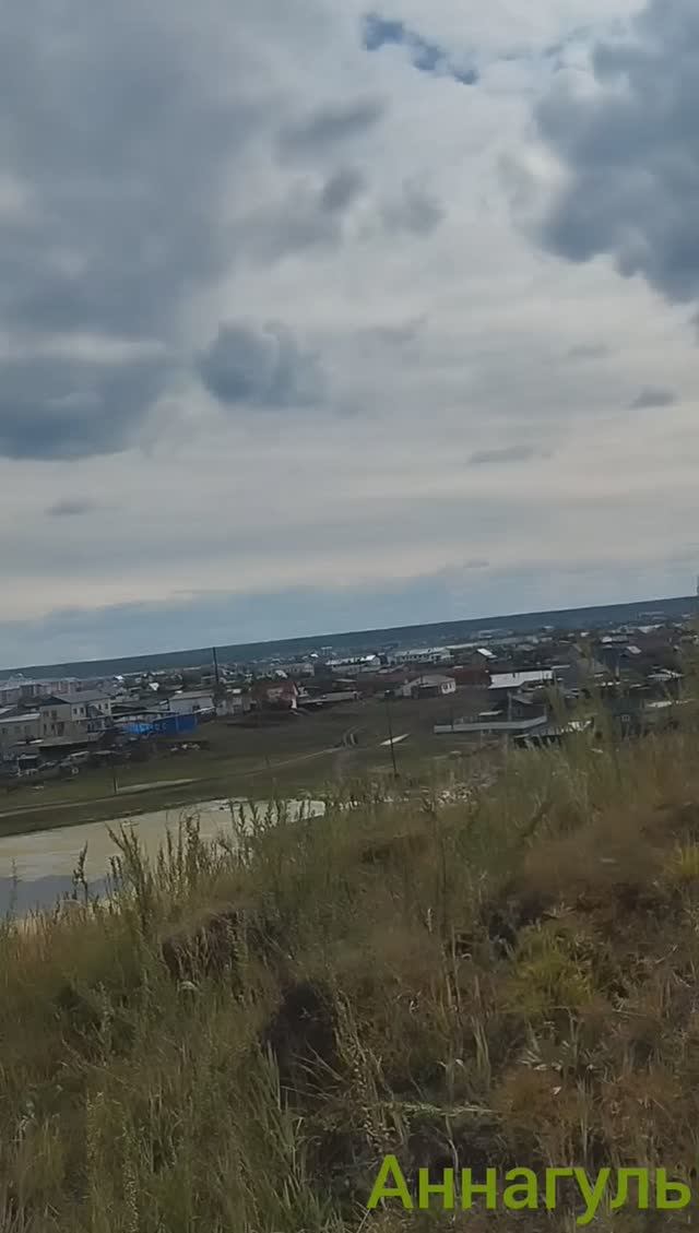 Оздоровительная ходьба, 3 день. Борогонцы, 01.08.2024 г.