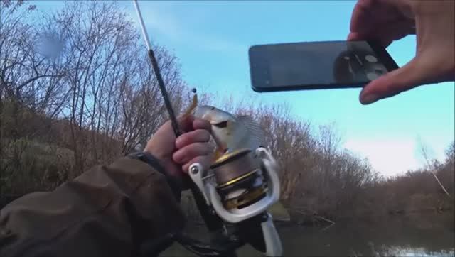 МИКРОДЖИГ НА МАЛОЙ РЕКЕ, ОКУНЬ