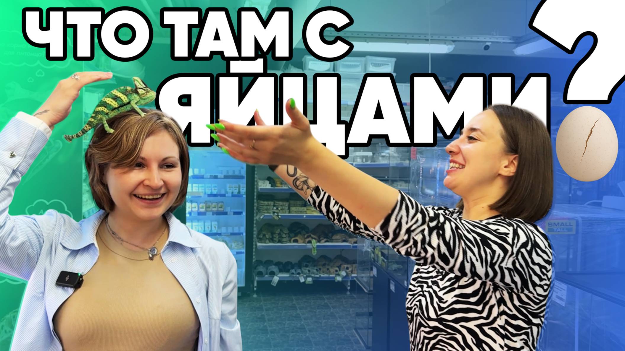 Террариумные новости ЭКЗОМЕНЮ (21.08.2025). Что там с ЯЙЦАМИ?