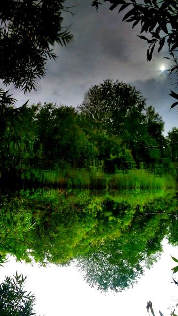 Серое небо и гладь воды – идеальное сочетание   #лето #речка #небо