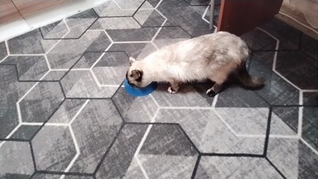 Обзор покупок 🛍️