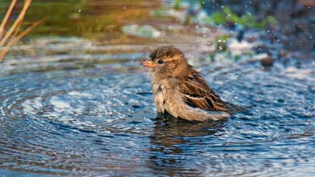 Вода является третьей энергией по значимости в мироздании!