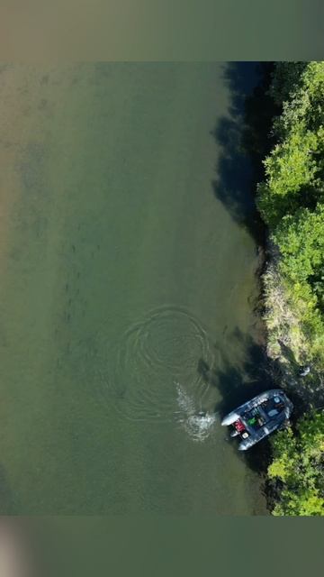 Рыбалка на лосося, вид сверху