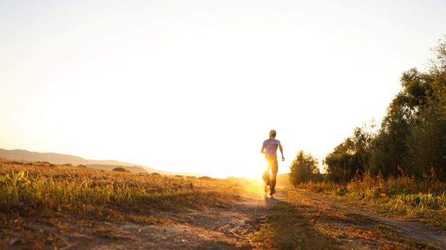 Кинологическая дисциплина каникросс и байк-джоринг