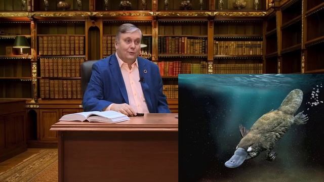 3 Семинар по Библейскому Креационизму. Униформизм или Катастрофизм — Алексей Попов