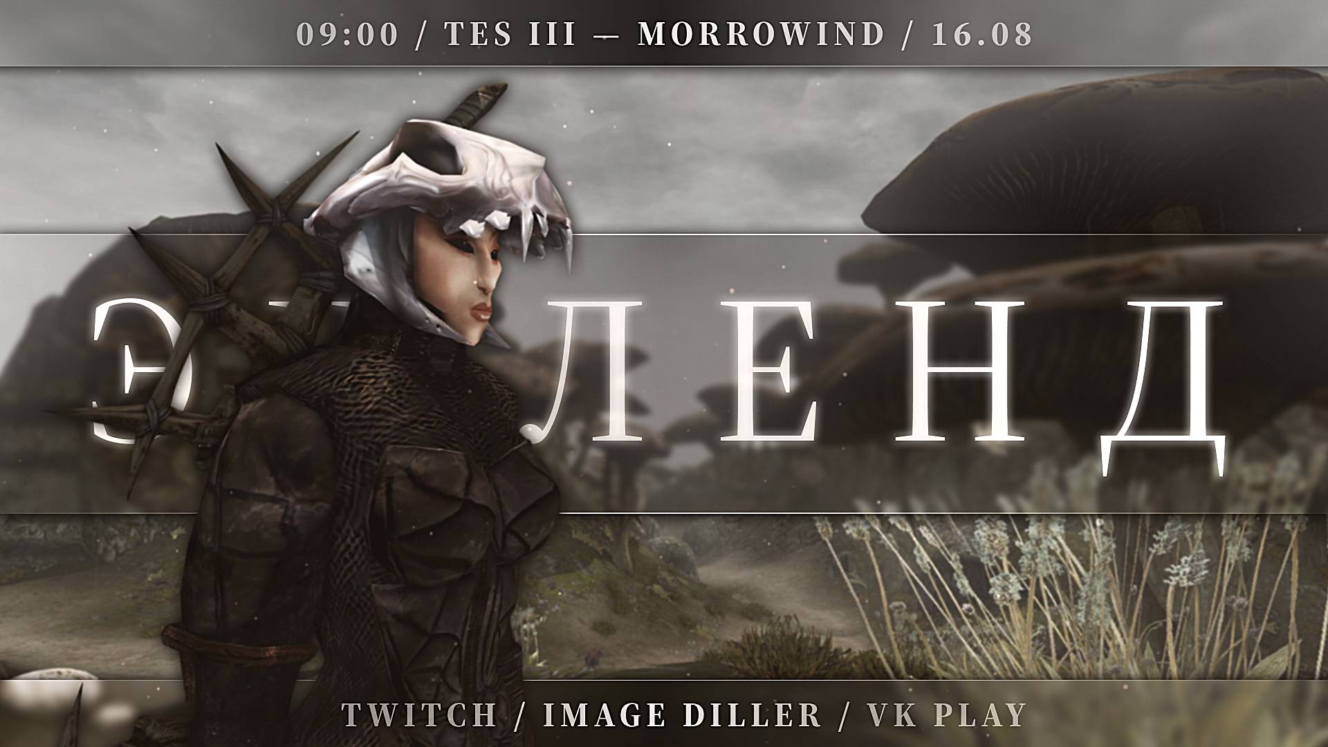 The Elder Scrolls III: Morrowind — Эшленд — #9