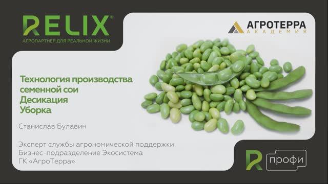 Технология производства сои, десикация уборка