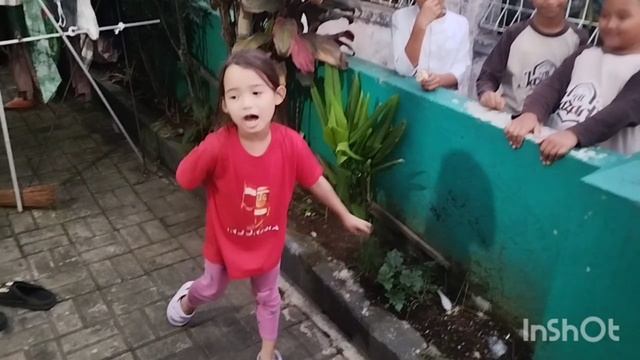 Предзакатное пение